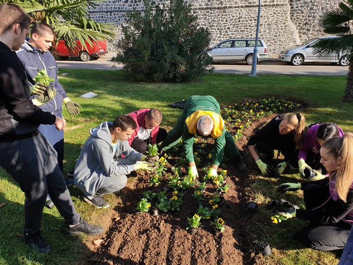 Počela jesenja sadnja cvijeća | Herceg Televizija Trebinje