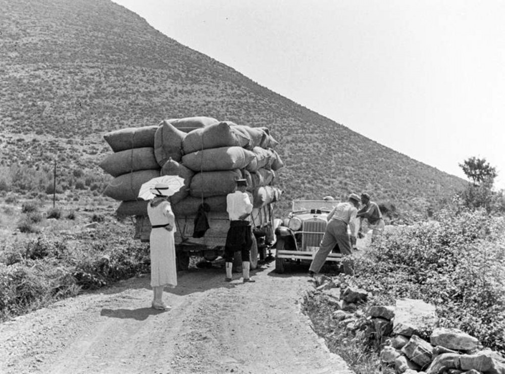 Pogledajte do sada neobjavljene stare fotografije Trebinja | Herceg ...